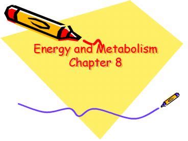 Ppt Energy And Metabolism Chapter Powerpoint Presentation Free To