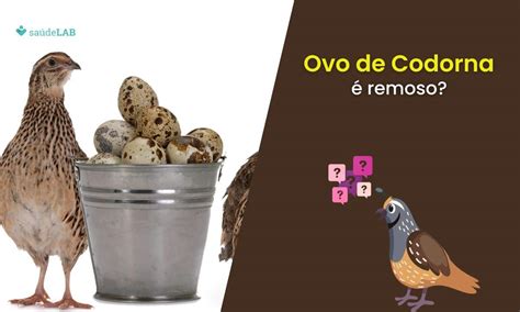 Ovo De Galinha é Remoso LIBRAIN