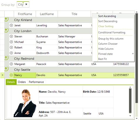 themes winforms dropdownbutton control telerik ui for