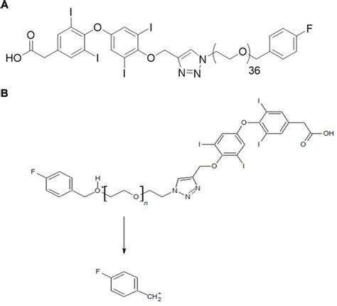 Frontiers Pharmacokinetics Of Fluorobenzyl Polyethylene Glycol