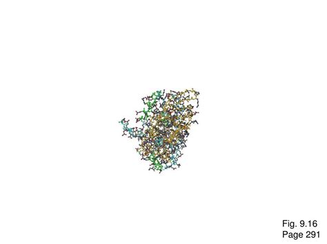 Ppt The Protein Data Bank Pdb Powerpoint Presentation Free