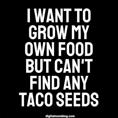 Funny Taco Memes Taco Humor You Funny Hilarious Disney Princess