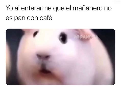 Yo al enterarme que el mañanero no es pan con café Memes