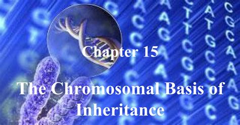 Chapter 15 PPT Chromosomal Basis Of Inheritance Ppt Google Slides