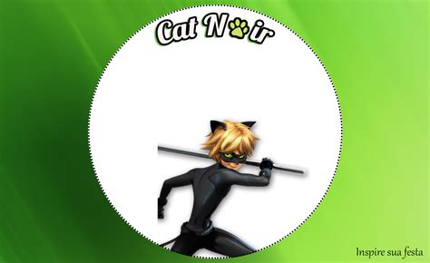 Inspire Sua Festa Blog Festa E Maternidade Cat Noir Miraculous