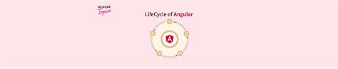 Angular Lifecycle Hooks Scaler Topics