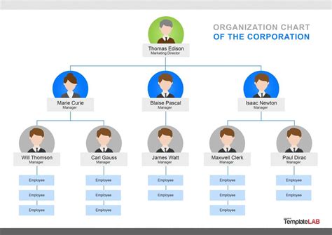 Microsoft Powerpoint Org Chart Template Atlanticcityaquarium