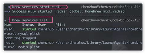 mac 如何安装 redis 两种方式 csdn博客
