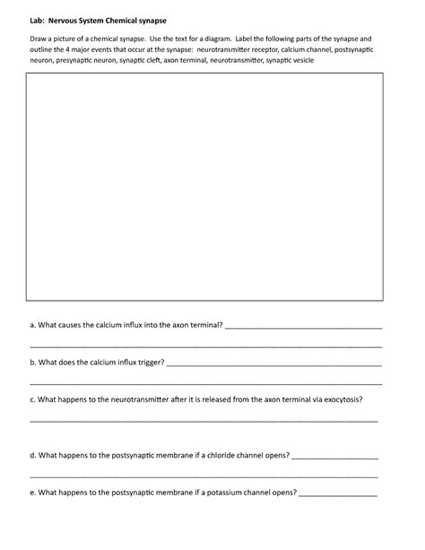 05 Lab Nervous System Notes Lab Nervous System Chemical Synapse