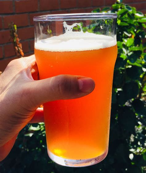 Ipa C Mo Hacer Cerveza Artesanal En Casa