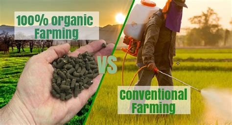 ORGANIC FARMING VS CONVENTIONAL FARMING A COMPLETE GUIDE