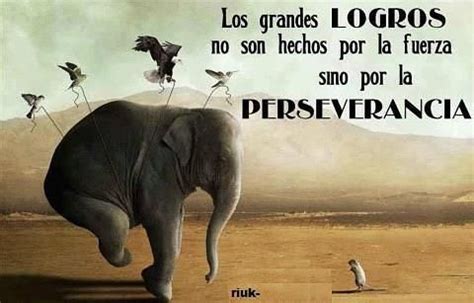Como Dice El Dicho El Que Persevera Alcanza Y Si Es Con Amor Gratitud
