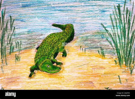 Crocodile In Water Pencil Sketch Capturing The Essence Of Nature
