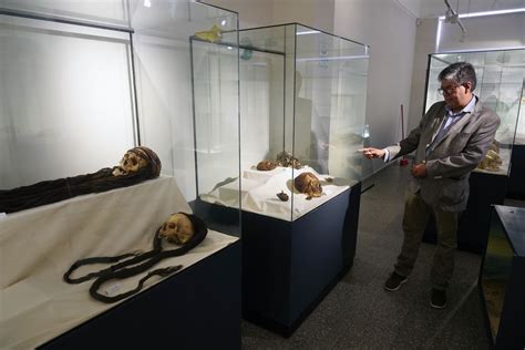 Museo Regional De Ica Reabre Hoy Y Exhibir Recientes Hallazgos