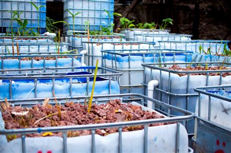 Biotecnología Sí Limpian estudiantes en Puebla aguas residuales con