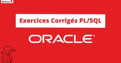 Exercices Corrig S Pl Sql Principes De Base Waytolearnx