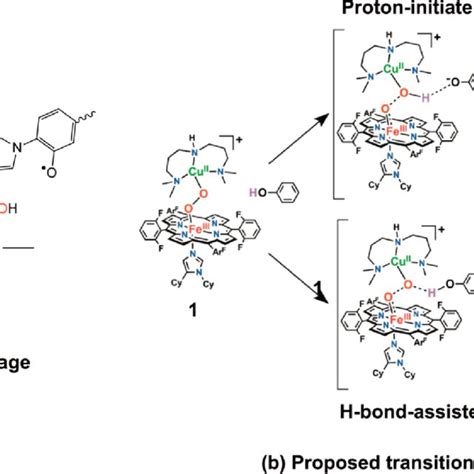 Electron Transfer From The Mn Cao Cluster To P Mediated By