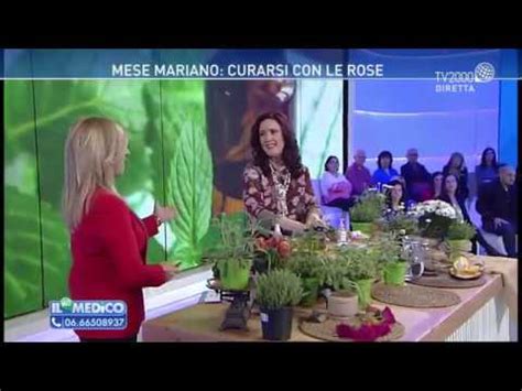 Parliamo Di Piante Mariane A Il Mio Medico Su Tv Fitogirl