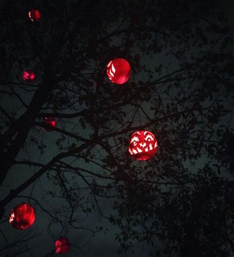 Creative Jack O Lanterns Pics
