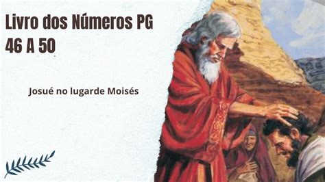 BÍBLIA SAGRADA COMPLETA EM AUDIO LIVRO DE NÚMEROS PG 46 A 50 estudo do