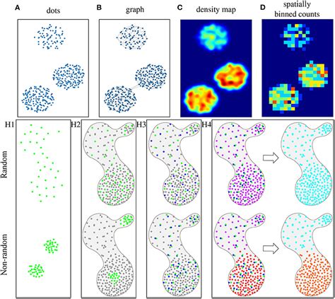 Frontiers Spatial Statistics For Understanding Tissue Organization