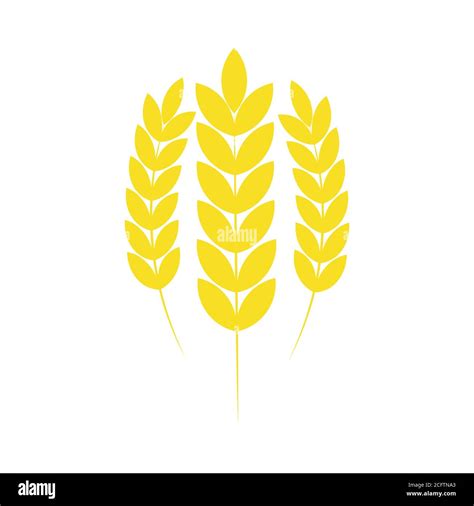 Logotipo de espiga de trigo Imágenes vectoriales de stock Alamy