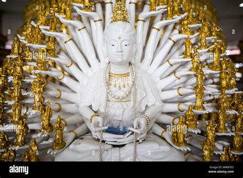 Golden Thousand Hands Guanyin Statue At Hat Yai Thailand Asia Stock