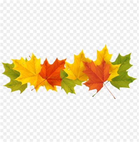 Fall Leaf Border Png Infoupdate Org