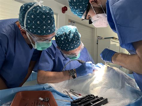 Anatomical Dissection On Cadaver Lab JDentalCare