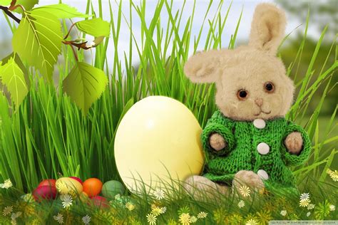Spring Bunny Wallpaper 61 Images