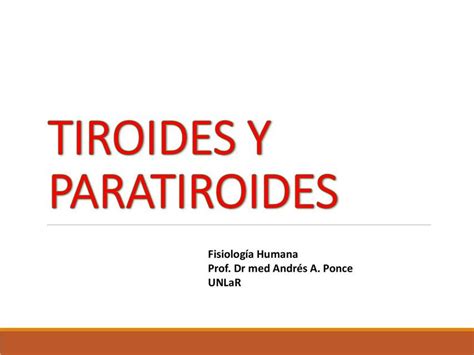 Tiroides Y Paratiroides Lorena Ochoa UDocz