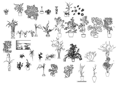 Beautiful Leaf Tree Plant Elevation Block Drawing Details Dwg File