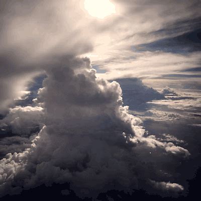 Post 95544377466 Nature Unveiled Tumblr Tumbex