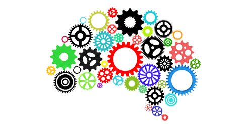 Cómo mejorar la flexibilidad cognitiva Kokoro Kids