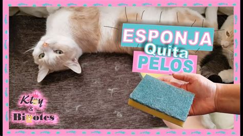 QUITA LOS PELOS DE GATO DEL SILLONES Y ROPA Con Una ESPONJA LAVA