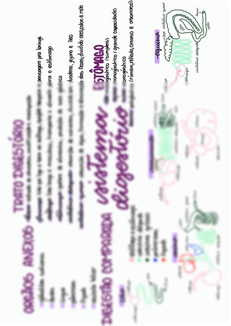 SOLUTION Mapa Mental Sistema Digest Rio Med Vet 231121 182212 Studypool
