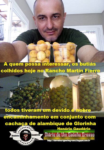 Di Rio De Um Ga Cho Grosso Cacha A Buti Do Hon Rio Gaud Rio