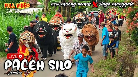 Full New Maong Remas Dan Singo Manggala Tampil Di Paceh Silo Drumband