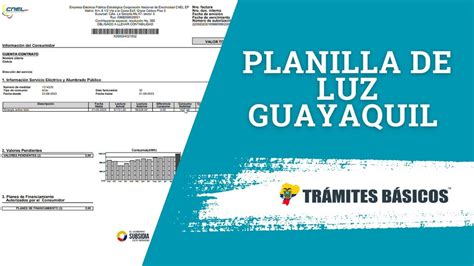 Consultar Planilla De Luz Guayaquil CNEL YouTube