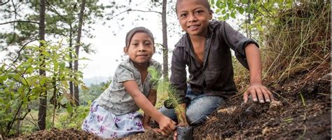 Qué es la justicia climática Claves y ejemplos