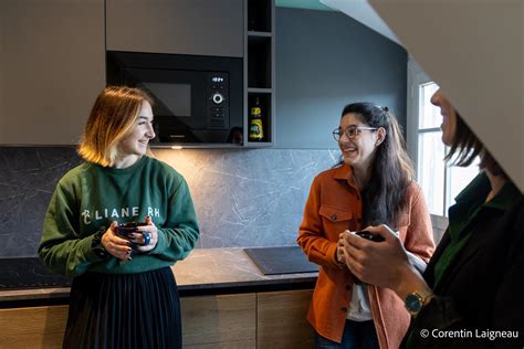 Offre Emploi CDI Chef de Projets Développement EnR Lyon 2e 69