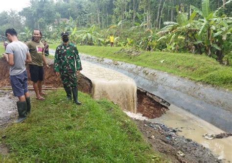 Tanggul Saluran Irigasi Di Jatilawang Jebol BANYUMAS EKSPRES
