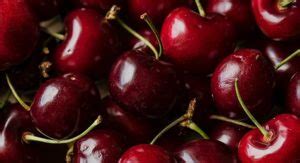 régime FODMAP santé forme bien etre naturopathe paris