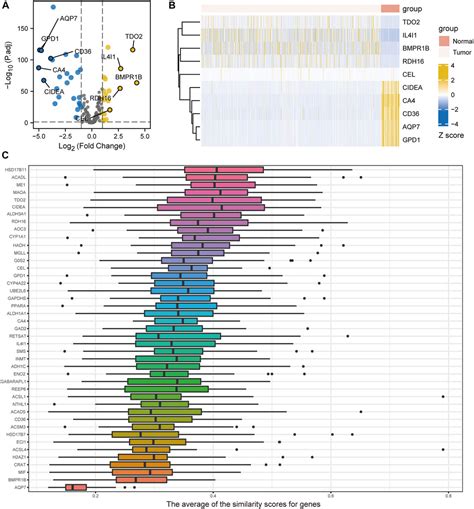 Frontiers Construction Of A Fatty Acid Metabolism Related Gene