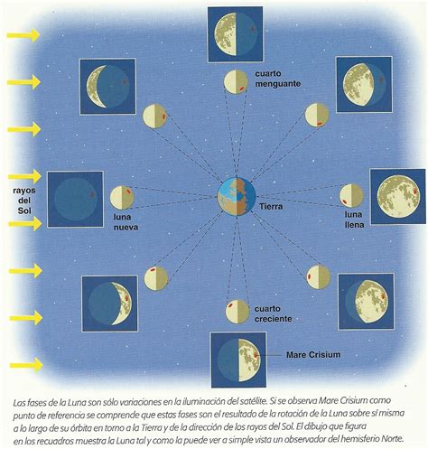 4 Fases De La Luna Para Niños Imagui