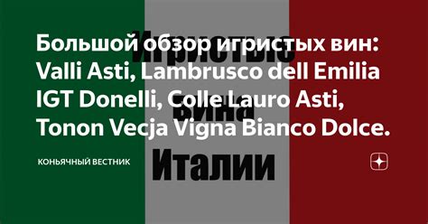 Большой обзор игристых вин Valli Asti Lambrusco dell Emilia IGT