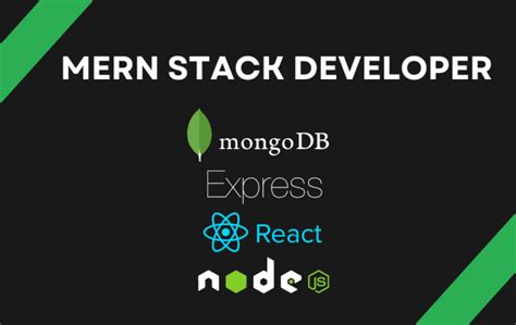 build web app using react js node js mongodb express js by saounmustafa fiverr