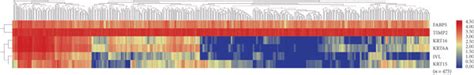 Interaction Network And Biological Process Analysis Of The Hub Genes