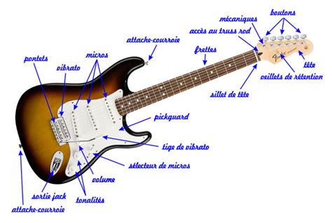 Disséquons une guitare électrique 1ère partie Fender Stratocaster