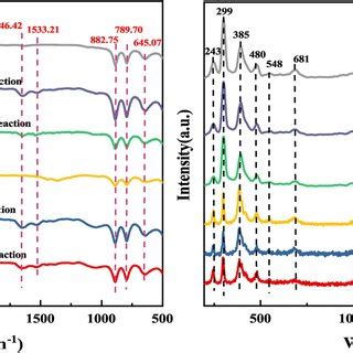 Characterization Of Ftir A And Raman Spectra B Of Different